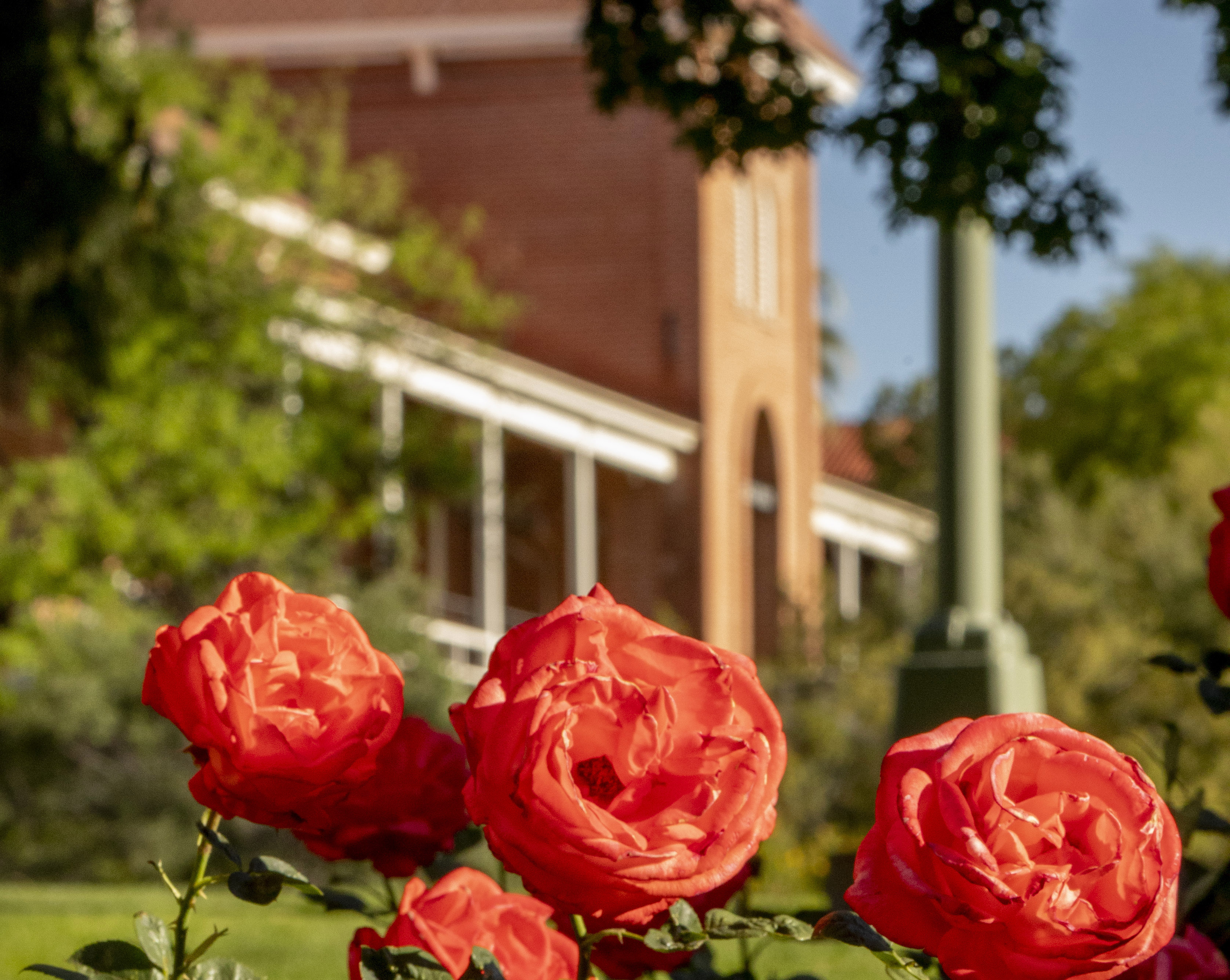 Vision 'Sesh' with Three New University Leaders | Arizona Alumni