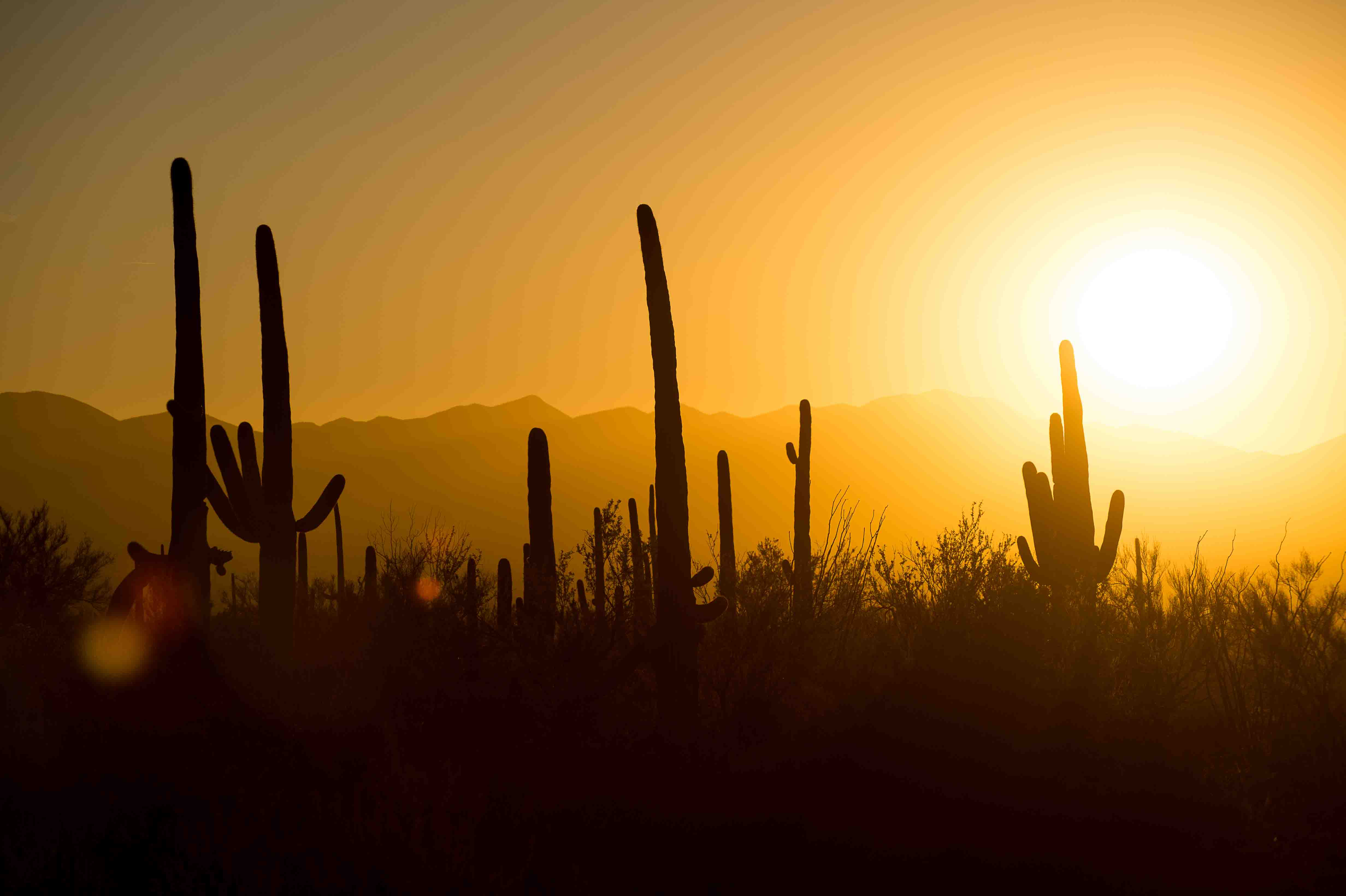 Solutions for a Changing Climate | Arizona Alumni